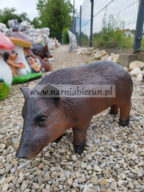Figurka z żywicy ogrodowa Dzik mały 55 cm > Góraleks > Najlepsze ...